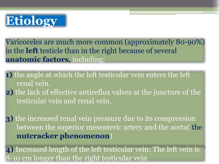 Ppt Varicocele Powerpoint Presentation Id 5611226