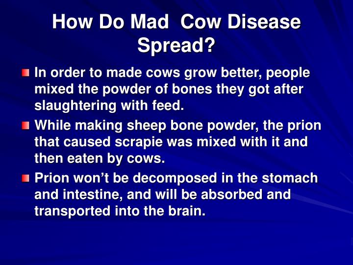 Ppt Mad Cow Disease Powerpoint Presentation Id 6977427
