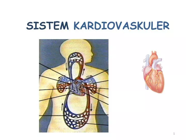 Ppt Sistem Kardiovaskuler Powerpoint Presentation Id 7085965