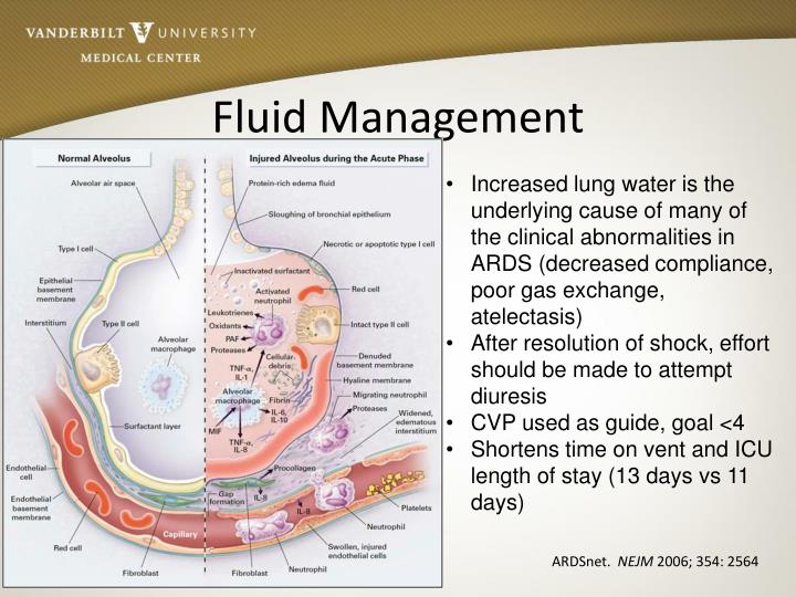 PPT - Acute Respiratory Distress Syndrome PowerPoint Presentation - ID ...