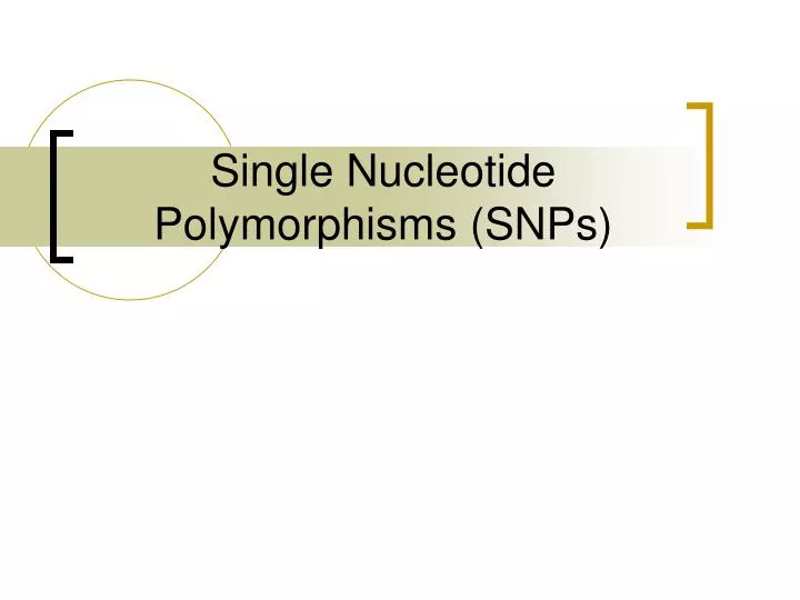 PPT - Single Nucleotide Polymorphisms (SNPs) PowerPoint Presentation ...