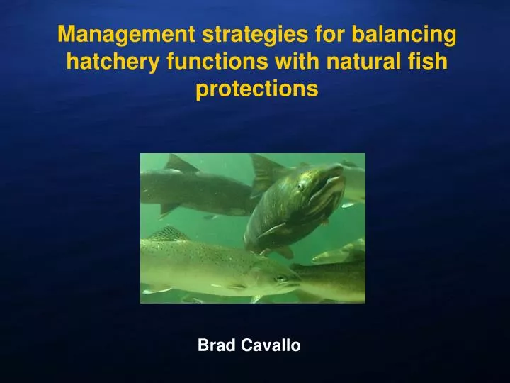 PPT - Management strategies for balancing hatchery functions with ...