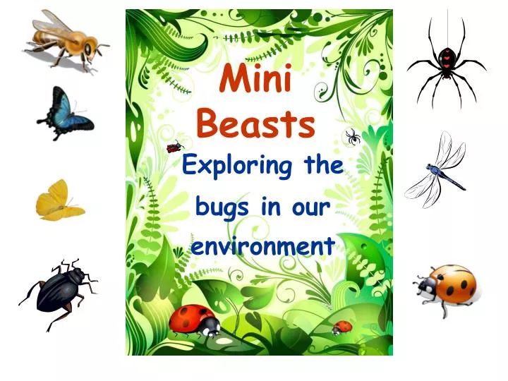 PPT - Mini Beasts PowerPoint Presentation, free download - ID:5375334