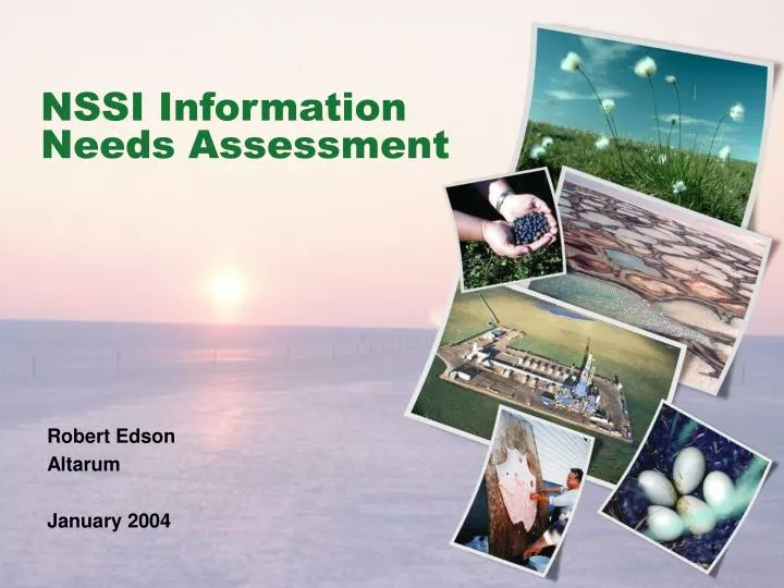 PPT - NSSI Information Needs Assessment PowerPoint Presentation, free ...