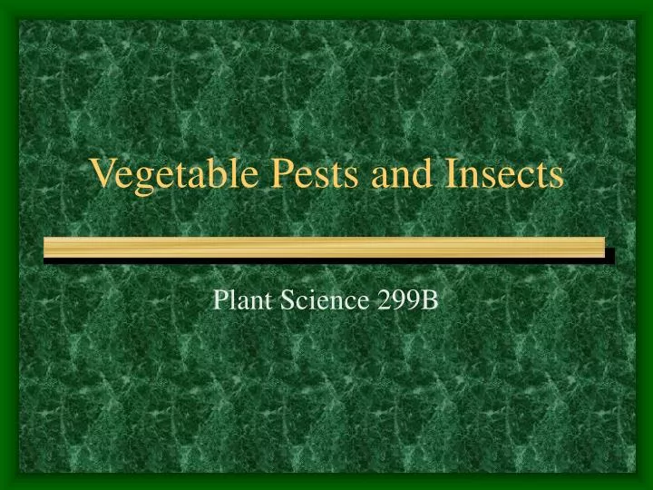 PPT - Vegetable Pests and Insects PowerPoint Presentation, free ...