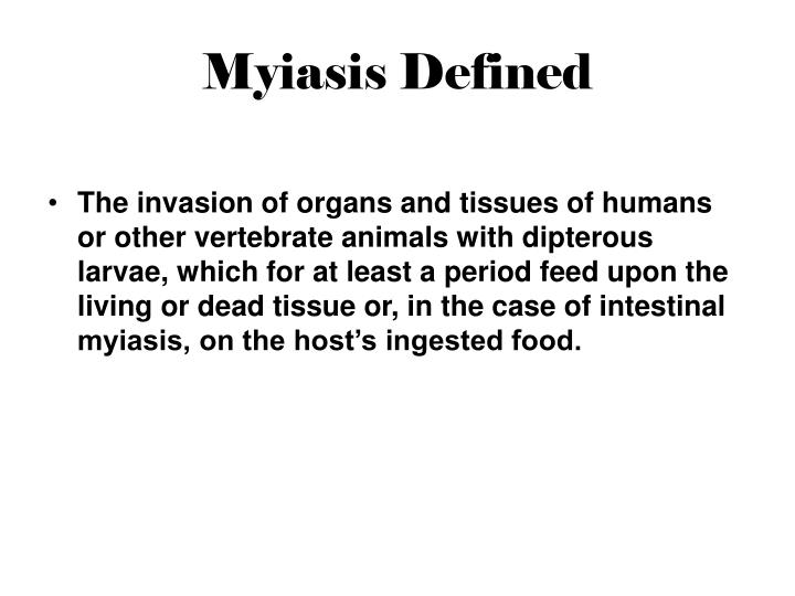 PPT - Flies and Myiasis PowerPoint Presentation - ID:5377161