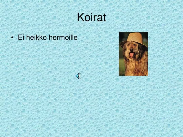PPT - Koirat PowerPoint Presentation, free download - ID:5378883