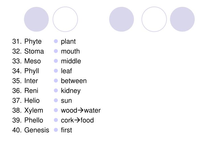 PPT - Biology Root Words PowerPoint Presentation - ID:5380347