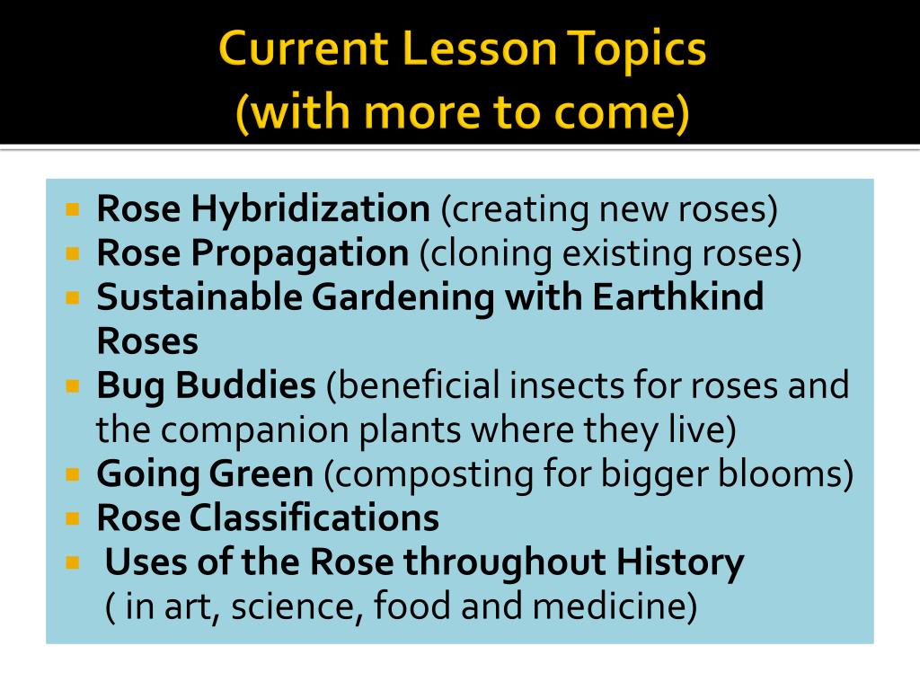 PPT - The American Rose Society’s Kidz N’ Roses PowerPoint Presentation ...