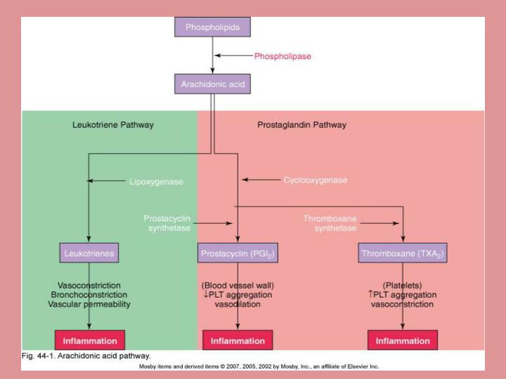 PPT - Antiinflammatory Antirheumatic Antigout Drugs PowerPoint ...