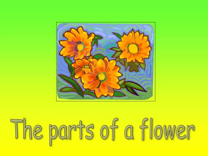 PPT - The parts of a flower PowerPoint Presentation, free download - ID ...
