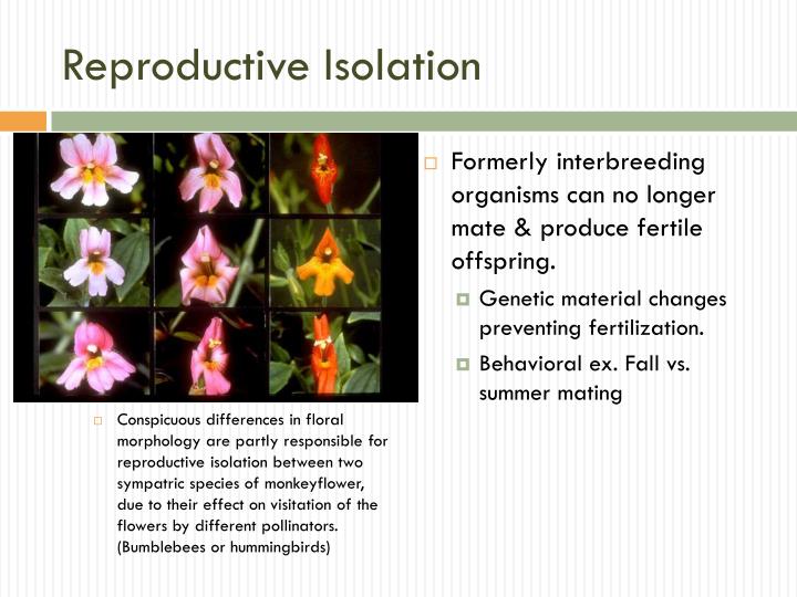 PPT - C15-Theory of Evolution Pp. 392- 419 PowerPoint Presentation - ID ...