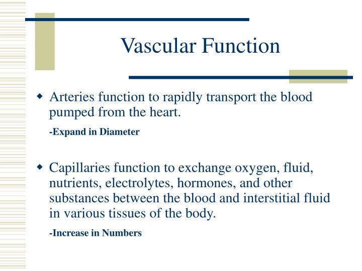 PPT - Vascular Adaptations to Exercise PowerPoint Presentation - ID:5384553