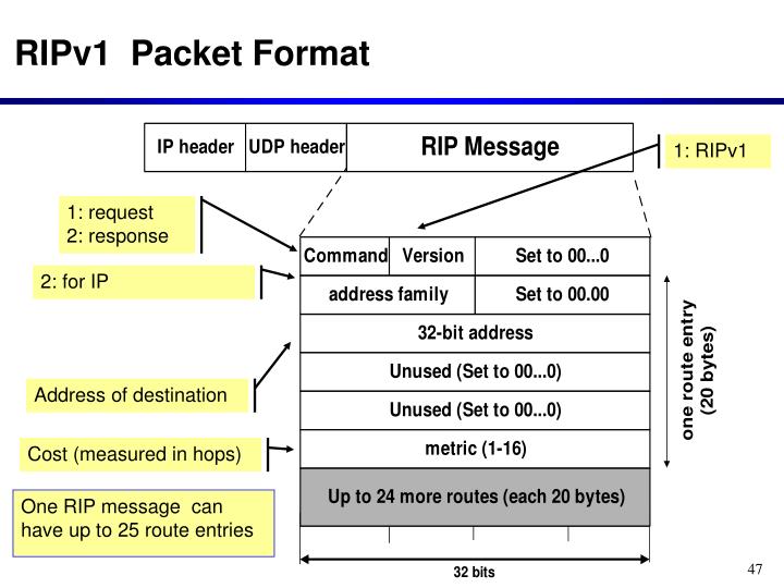 PPT - Lecture 4: Dynamic routing protocols PowerPoint Presentation - ID ...
