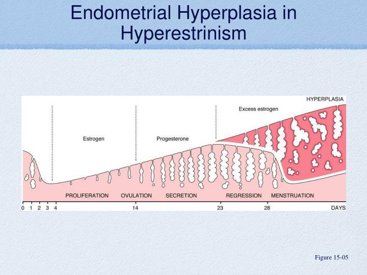PPT - Endocrine, Reproductive and Urinary System Review PowerPoint ...