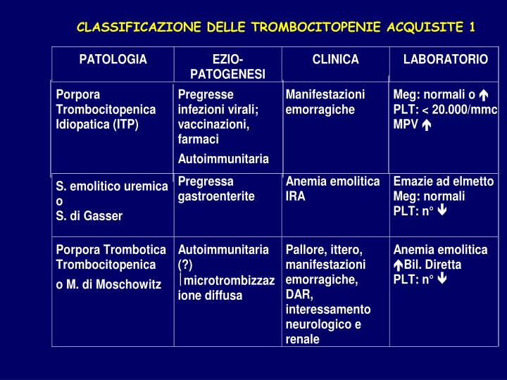 PPT - EMATOLOGIA PEDIATRICA PowerPoint Presentation - ID:5386961