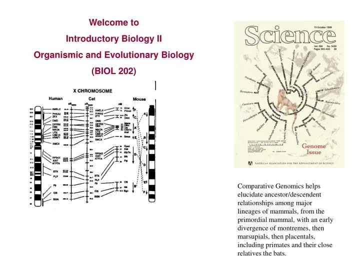 PPT - Welcome to Introductory Biology II Organismic and Evolutionary ...