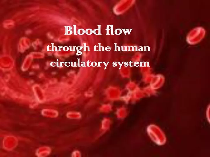 PPT - Blood flow through the human circulatory system PowerPoint ...