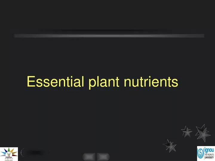 PPT - Essential plant nutrients PowerPoint Presentation, free download ...