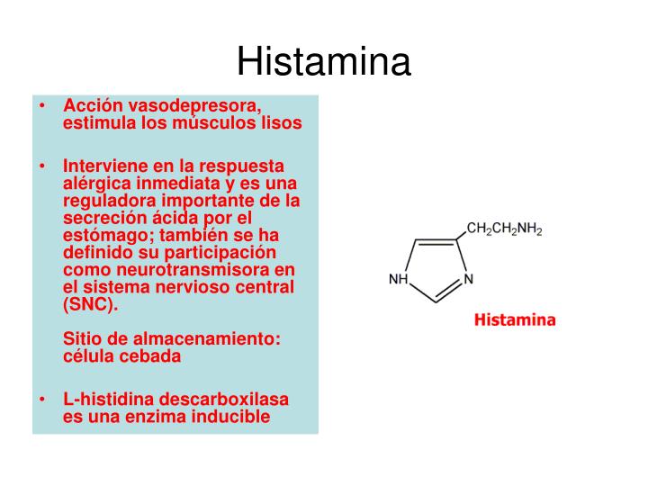 PPT - Neurobioquímica de la serotonina y de los Aminoácidos ...