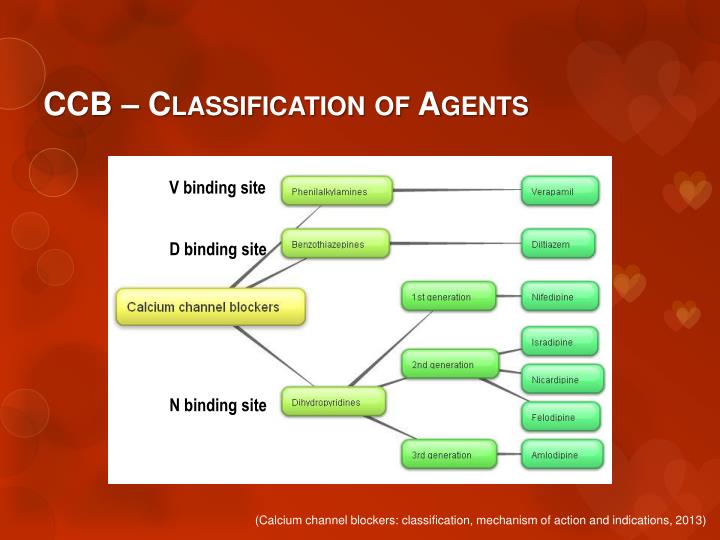 PPT - Calcium Channel Blockers (CCB) PowerPoint Presentation - ID:5390122