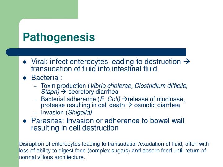PPT - Gastroenteritis PowerPoint Presentation - ID:5390132