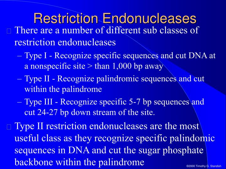 PPT - Restriction Enzyme Digestion PowerPoint Presentation - ID:5390155