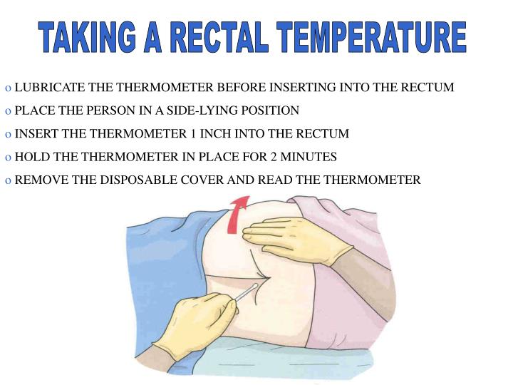 Rectal Temp A At Megan Ramos Blog