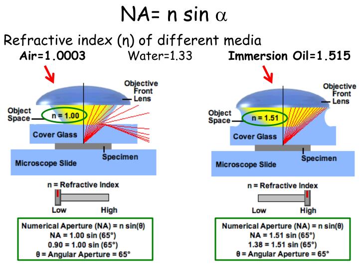 PPT - Resolution= Resolving Power PowerPoint Presentation - ID:5393654