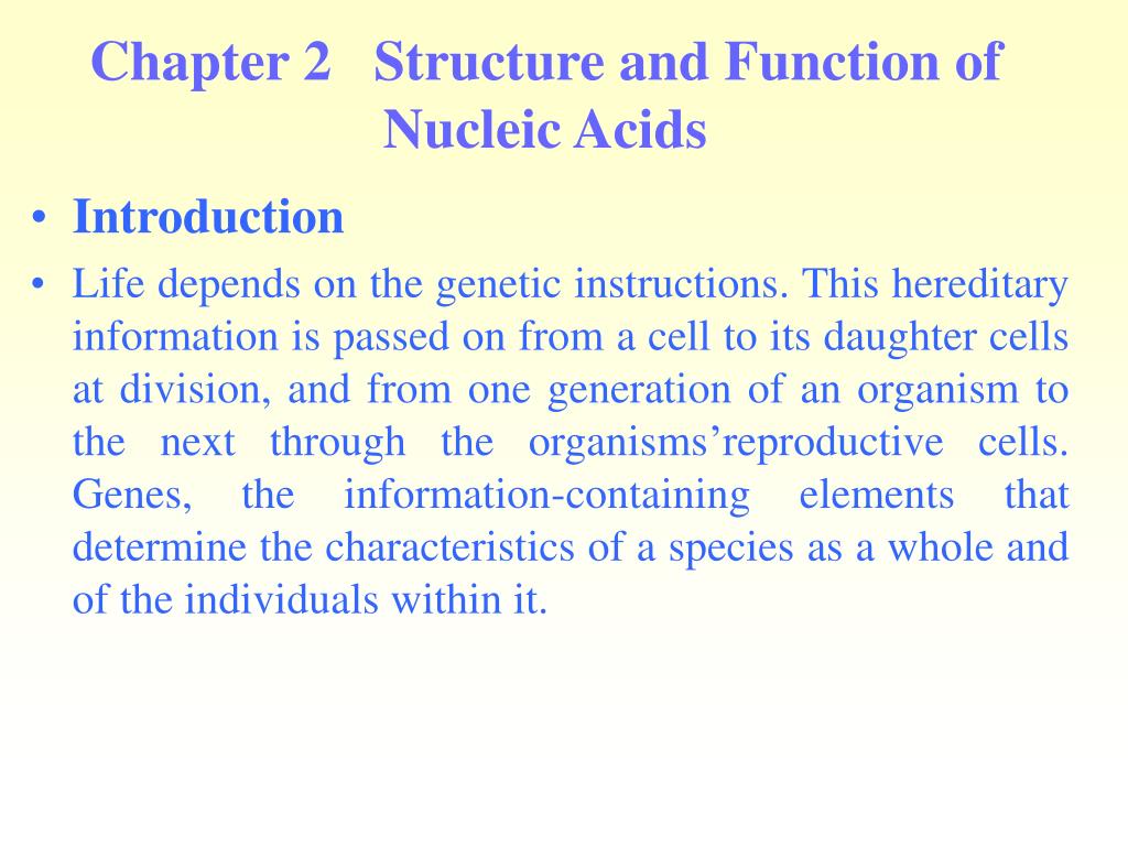 Ppt Chapter 2 Structure And Function Of Nucleic Acids Powerpoint Presentation Id5395002
