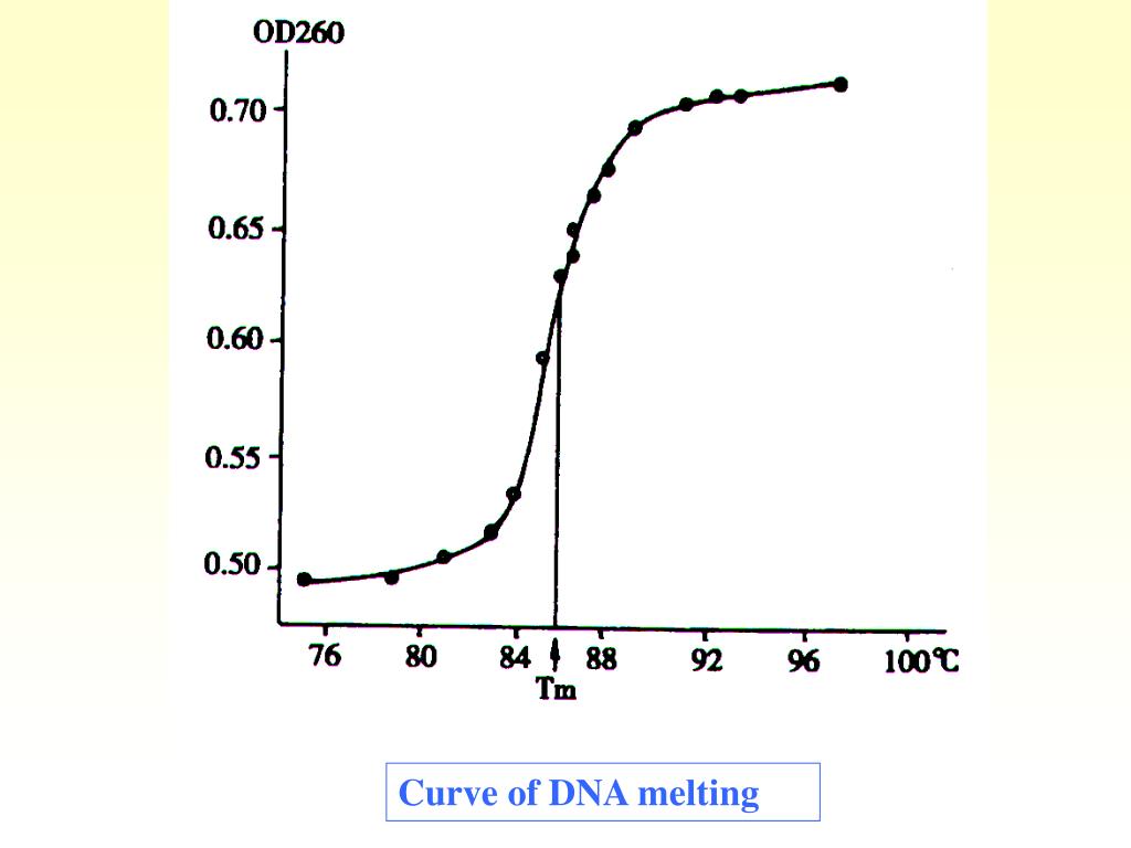 PPT Chapter 2 Structure And Function Of Nucleic Acids PowerPoint