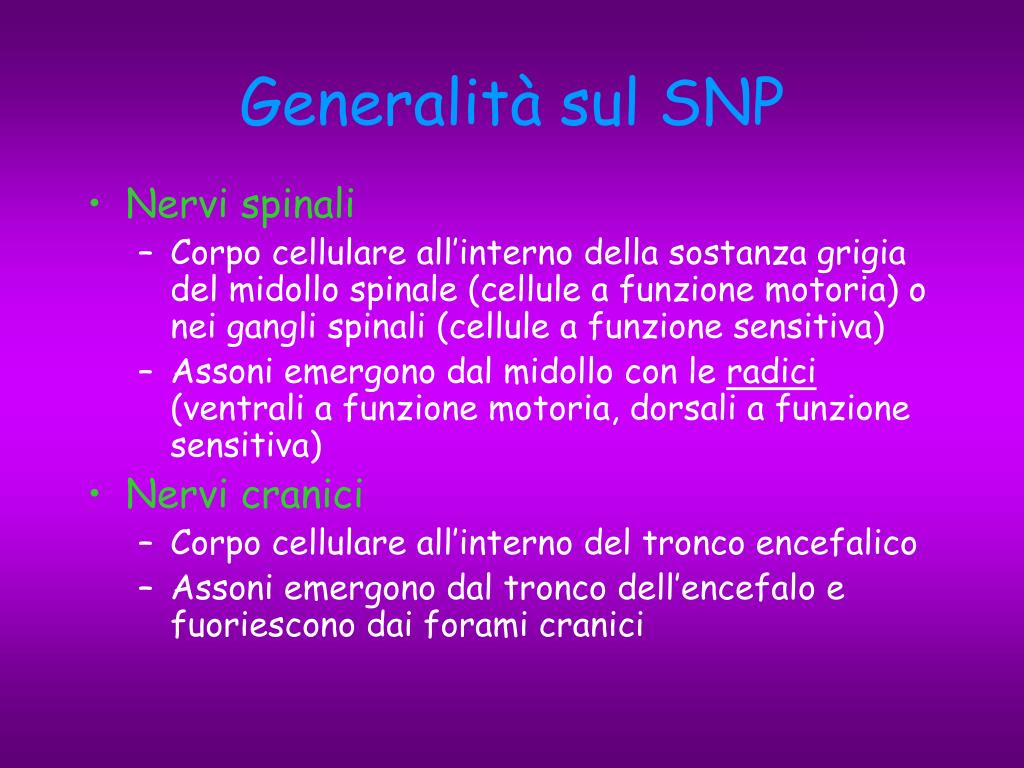 PPT - Malattie dei nervi periferici: neuropatie PowerPoint Presentation ...