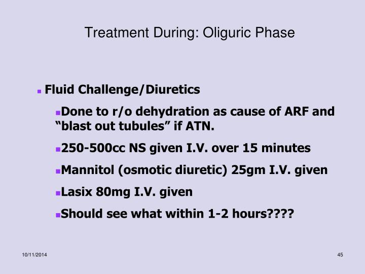 PPT - Renal A & P -excellent site for renal pathophysiology PowerPoint ...