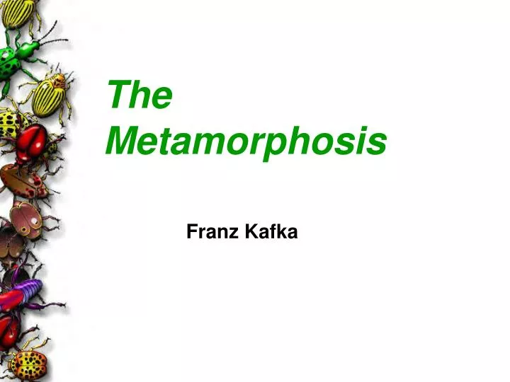PPT - The Metamorphosis PowerPoint Presentation, free download - ID:5396821