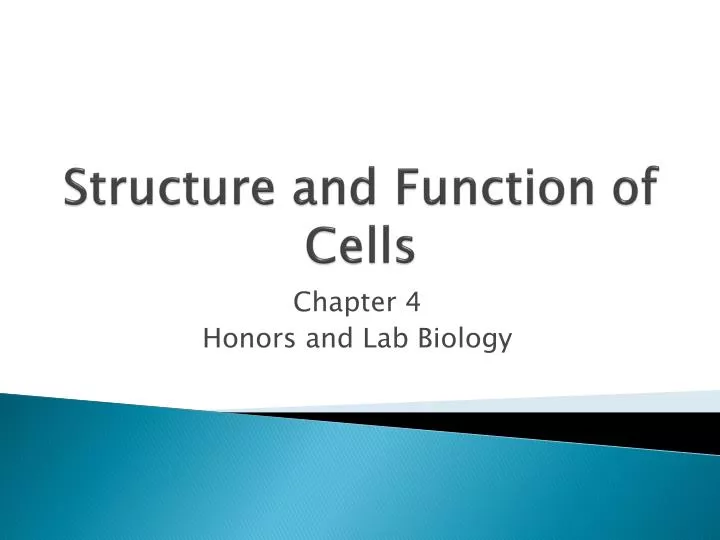 PPT - Structure and Function of Cells PowerPoint Presentation, free ...