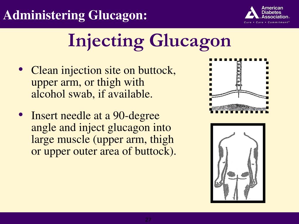 PPT - Glucagon Emergency Administration Training Tool A Resource for ...