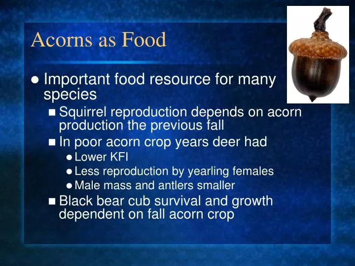 PPT - Acorns as Food PowerPoint Presentation, free download - ID:5400930