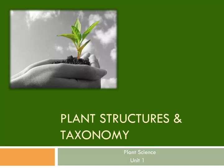 PPT - Plant Structures & Taxonomy PowerPoint Presentation, free ...