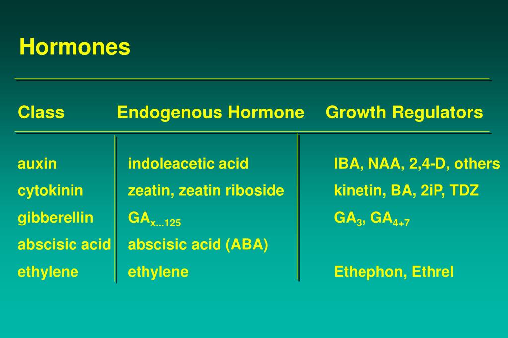 Ppt Hormones Powerpoint Presentation Free Download Id 5401850