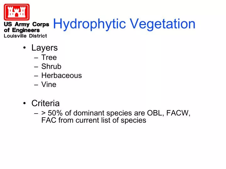 PPT - Hydrophytic Vegetation PowerPoint Presentation, free download ...