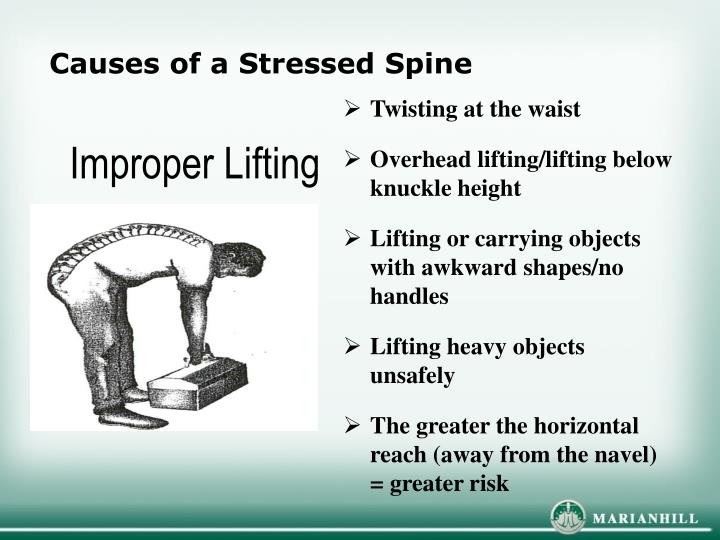 PPT - MSDs, Back Care & Zero Lift PowerPoint Presentation - ID:5402165