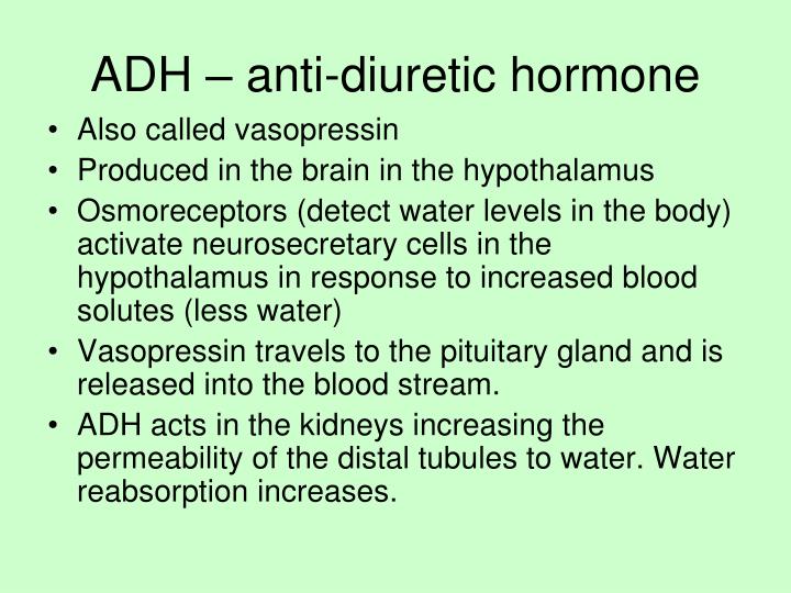 PPT - Water Balance and Blood Pressure PowerPoint Presentation - ID:5402251