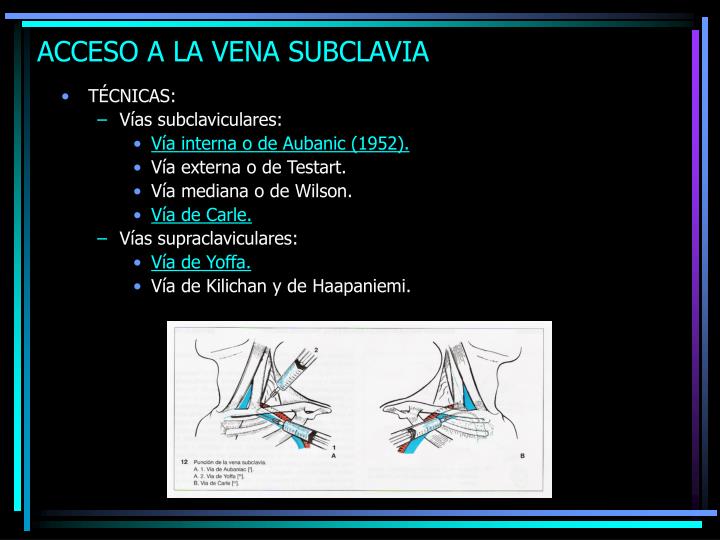 PPT - ACCESOS VENOSOS CENTRALES PROFUNDOS EN EL ADULTO PowerPoint ...