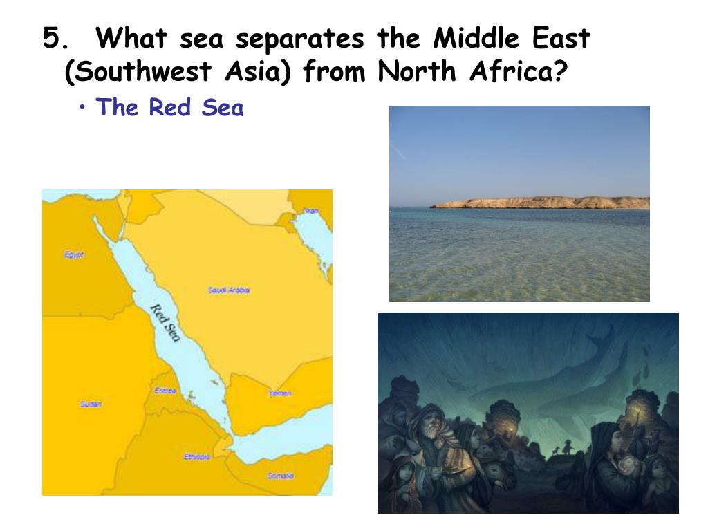 PPT - Physical Geography of N. Africa, SW Asia, & Central Asia ...