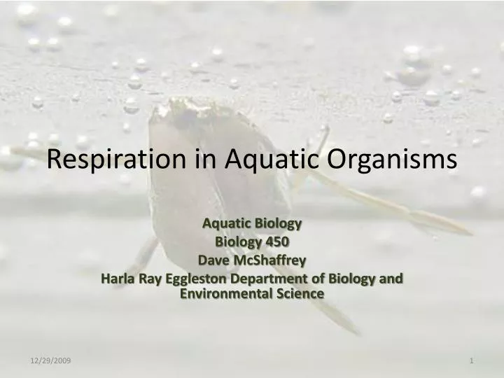 PPT - Respiration in Aquatic Organisms PowerPoint Presentation, free ...