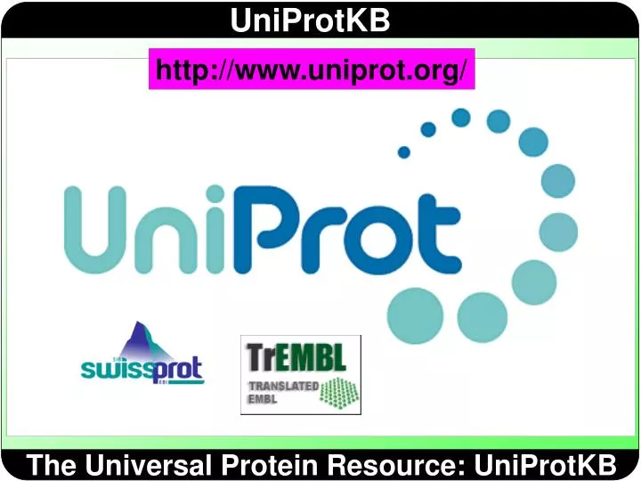 PPT - The Universal Protein Resource: UniProtKB PowerPoint Presentation ...