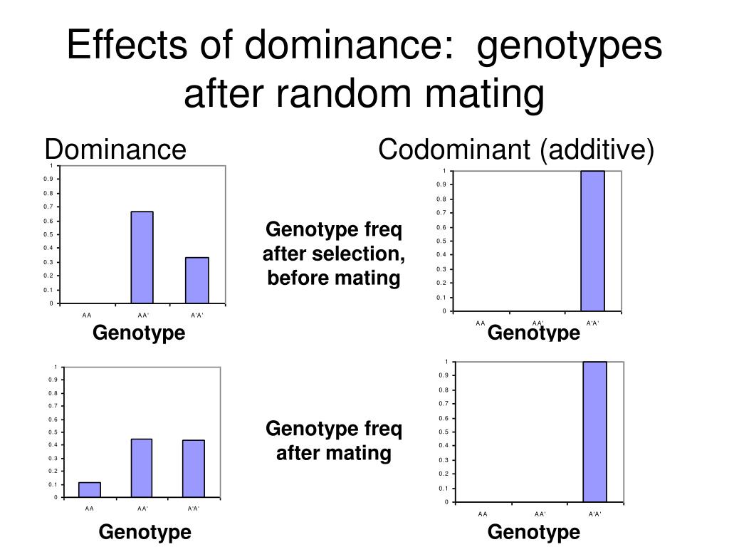 Ppt Quantitative Genetics Traits Controlled My Many Loci Powerpoint