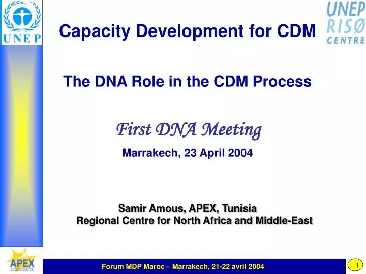PPT - Capacity Development for CDM The DNA Role in the CDM Process ...