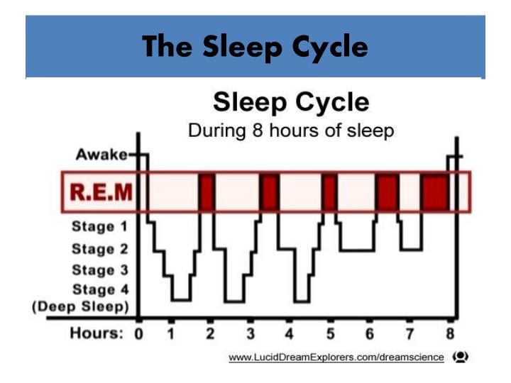 PPT - Sleep and Psychology PowerPoint Presentation - ID:5405218