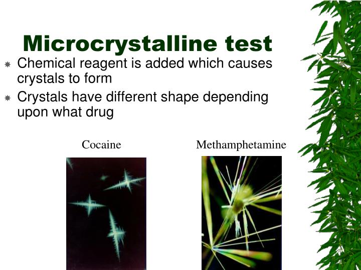 PPT - Forensic Drug Analysis PowerPoint Presentation - ID:5405622